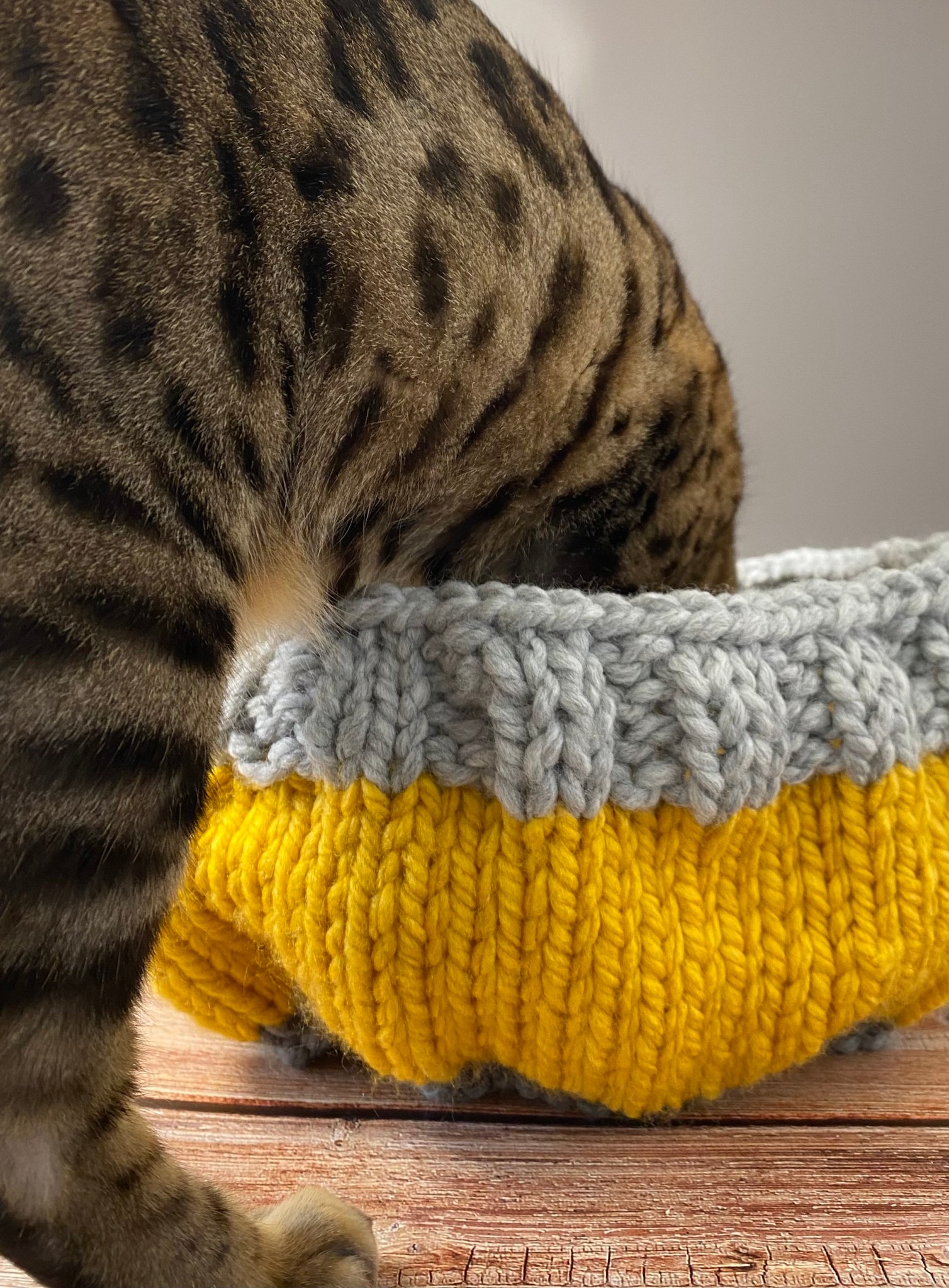 How to knit a cat bed that your cat won’t sit in – The Knitting Times